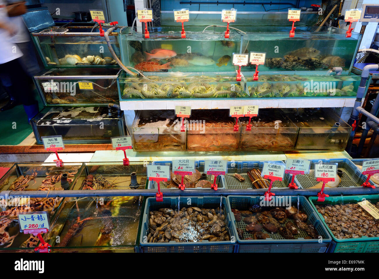 Fresh, live marine animals and fish, seafood restaurant, Lamma Island ...