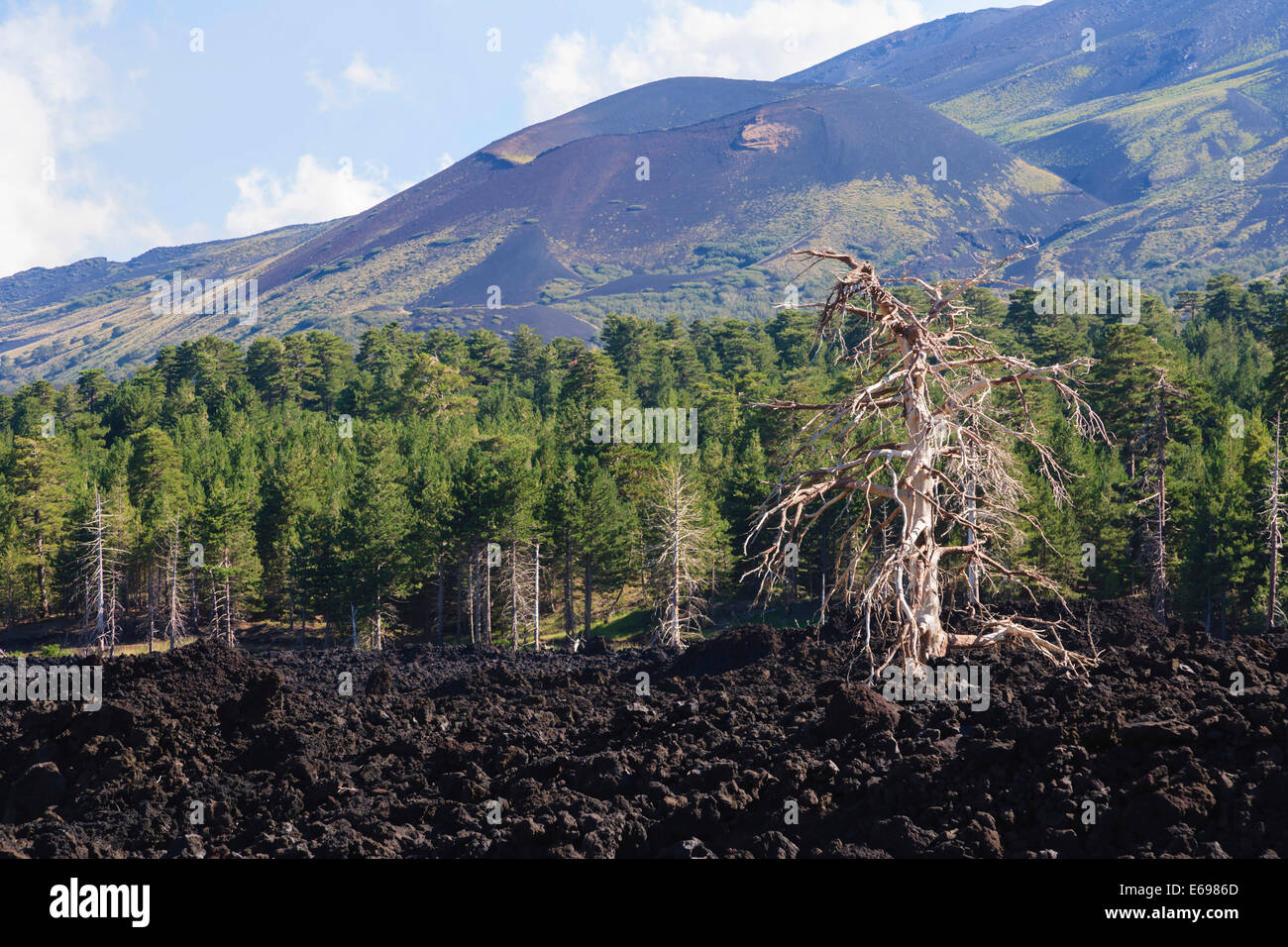 Lava field on the foothills of Mount Etna, Catania, Sicily, Italy Stock ...
