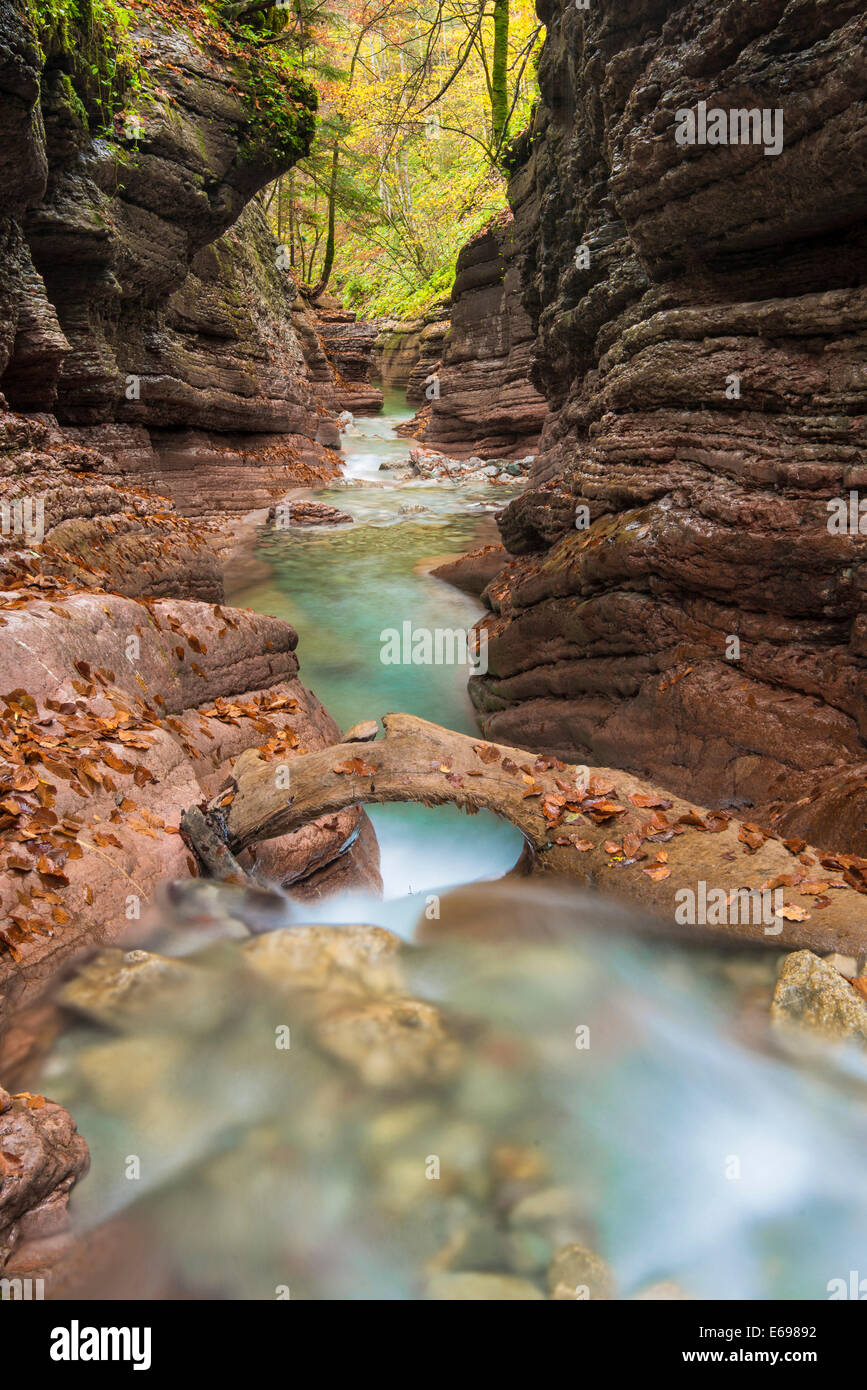 Tauglbach or Taugl River, Taugl River Gorge, Tennengau region, Salzburg ...