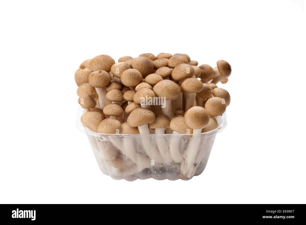 brown shimeji mushroom isolated on white background Stock Photo - Alamy