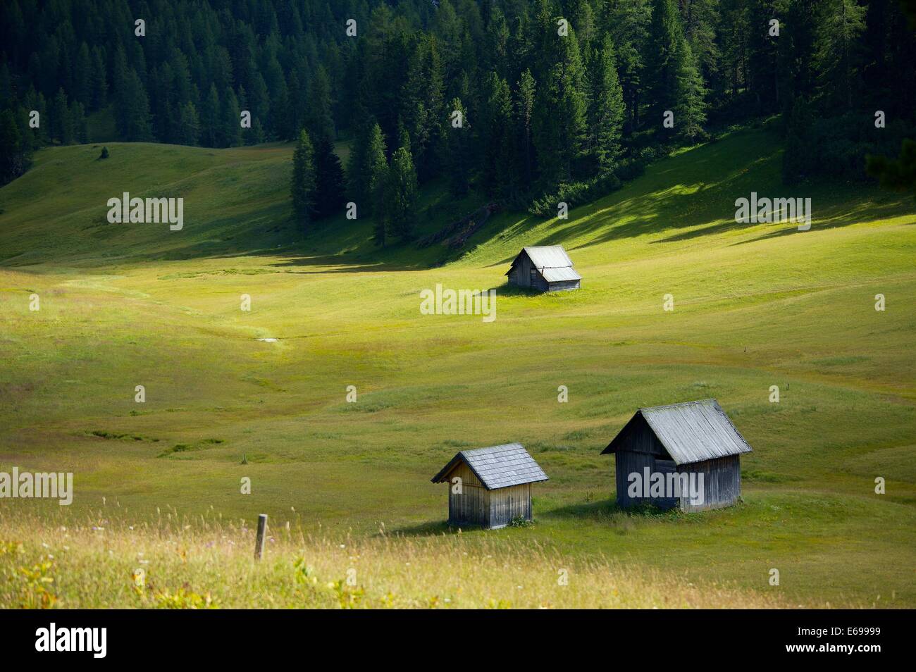 Vivid green alpine meadow hi-res stock photography and images - Alamy