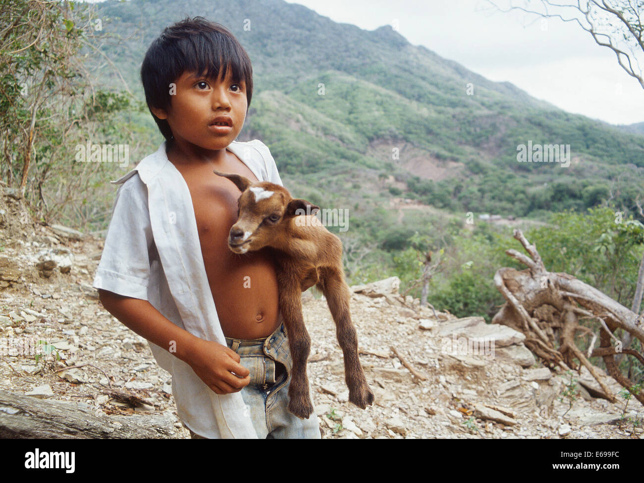 Boy holding a baby goat in his arms. He belongs to the wayuu tribe ...