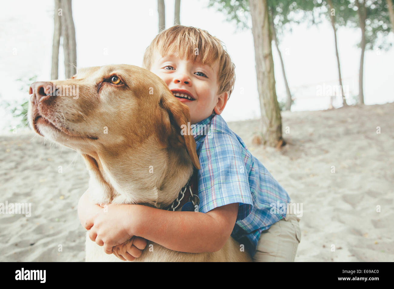 Boy hugging dog on wooded beach Stock Photo - Alamy