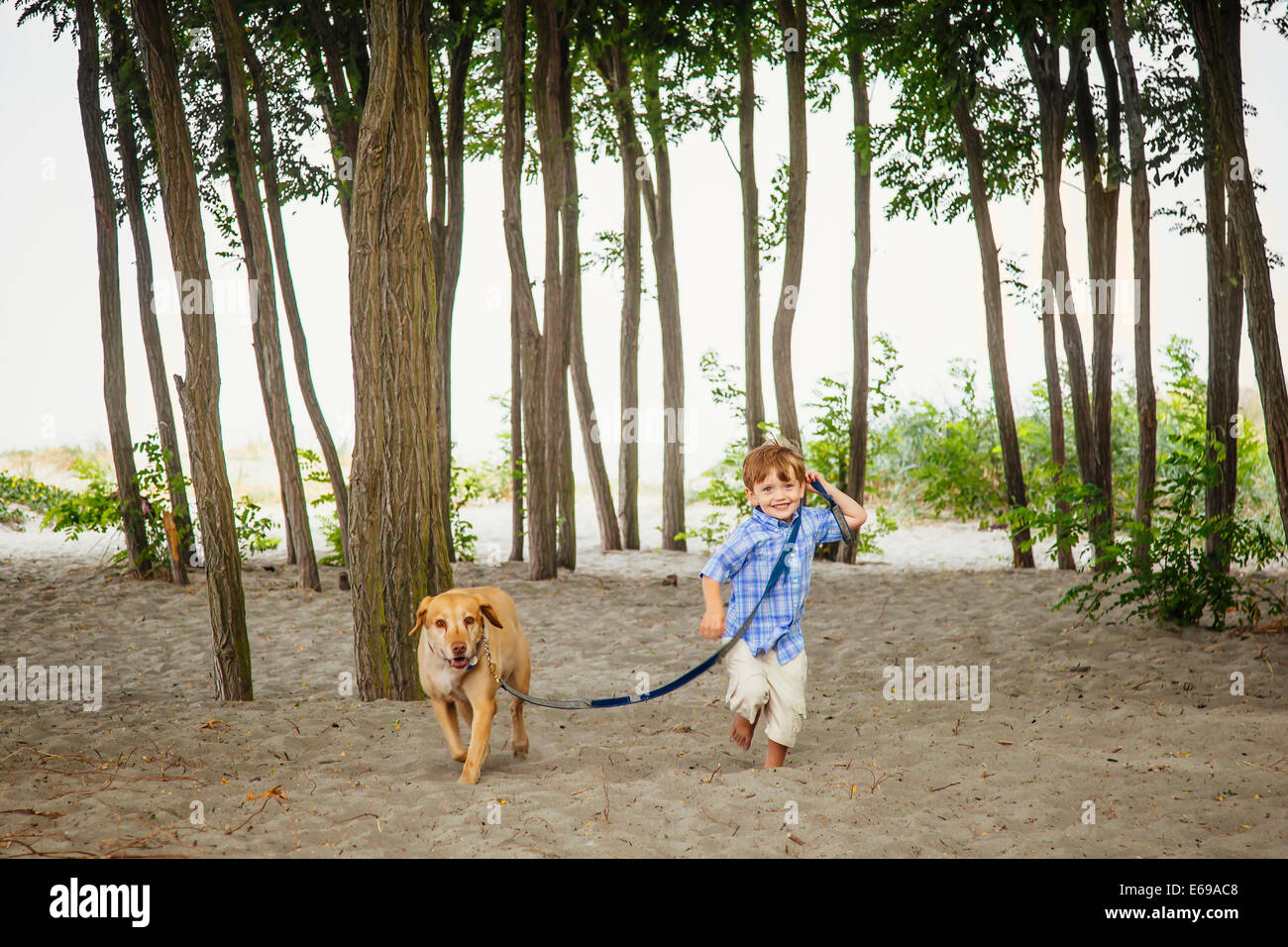 Boy walking dog on wooded beach Stock Photo - Alamy