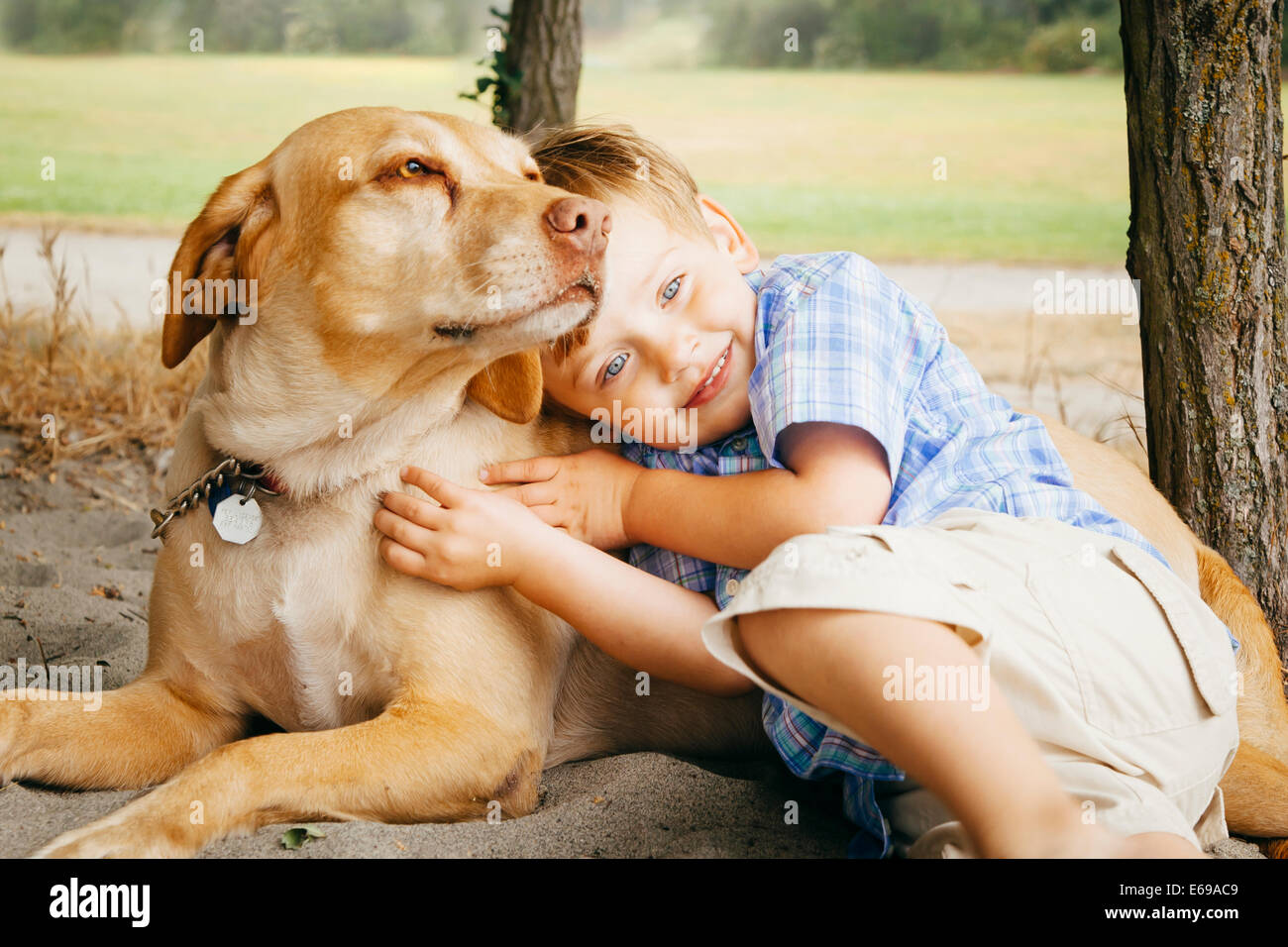 Boy hugging dog on wooded beach Stock Photo - Alamy