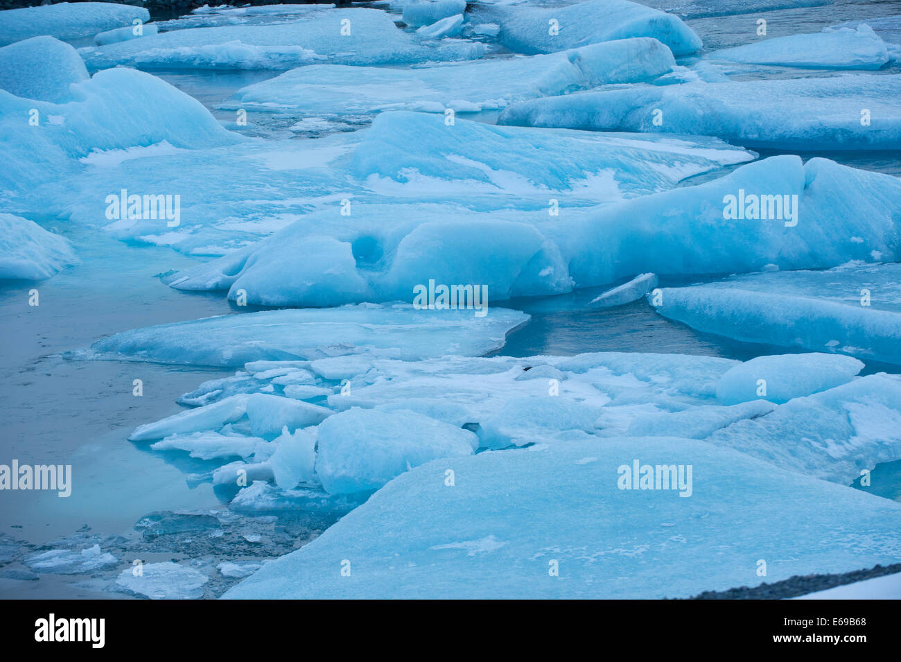 Glaciers floating in arctic water Stock Photo - Alamy