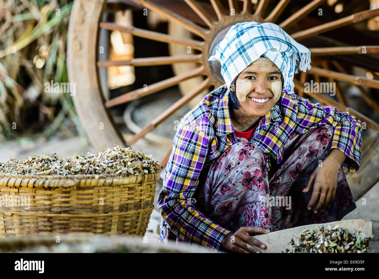Asian girl selling herbs in market Stock Photo - Alamy
