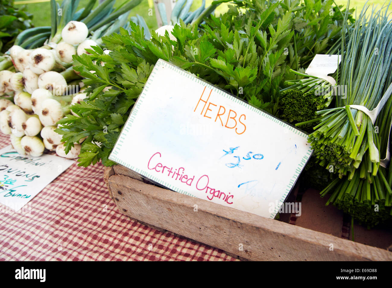 Organic herbs for sale in market Stock Photo - Alamy