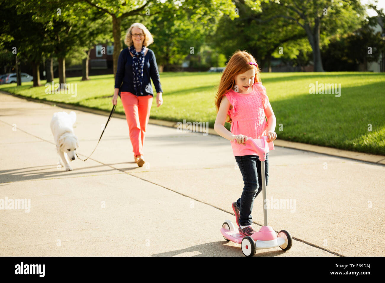 Senior woman walking dog hi-res stock photography and images - Alamy