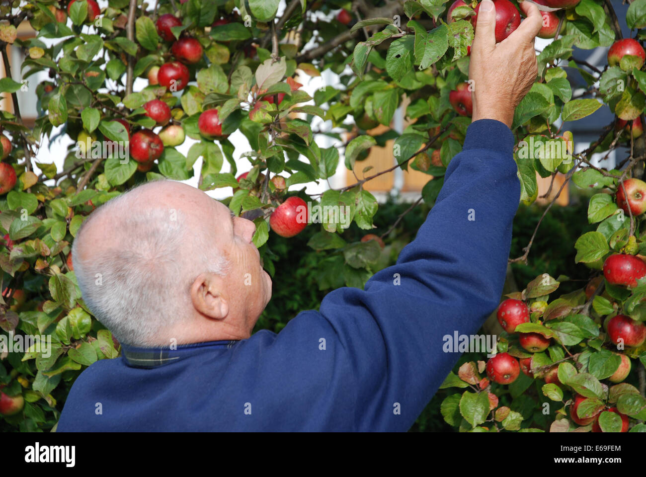 One adult older elderly male persons hi-res stock photography and ...