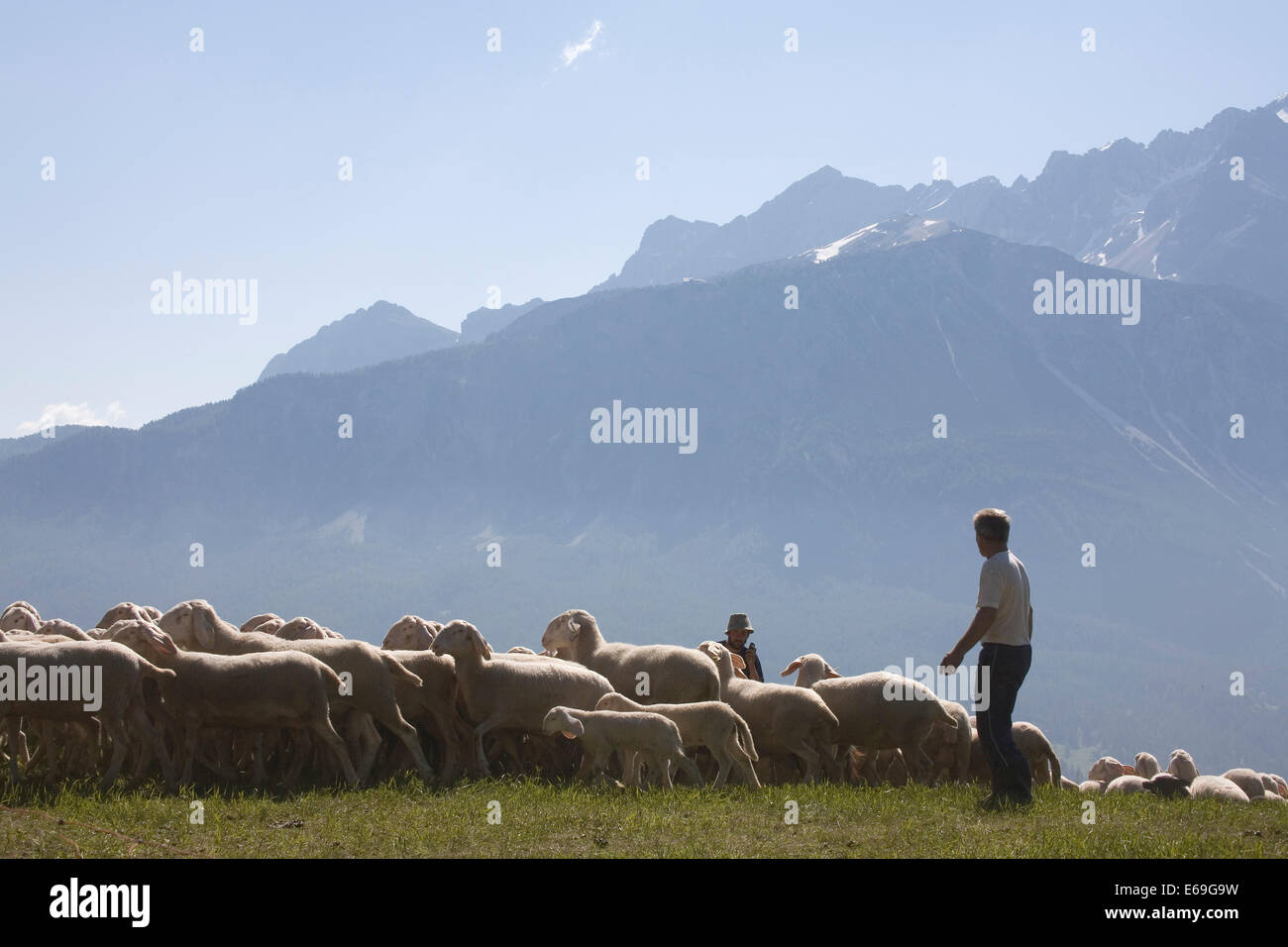 Shepherds Job High Resolution Stock Photography and Images - Alamy