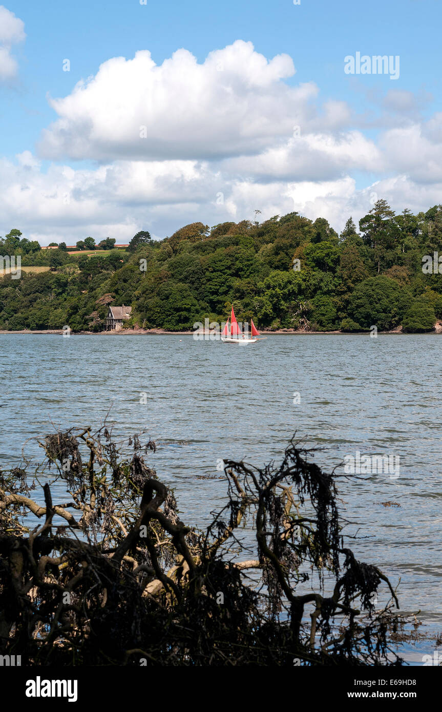ancient devon hedgerows,sailing on the river Dart,red sails Stock Photo ...