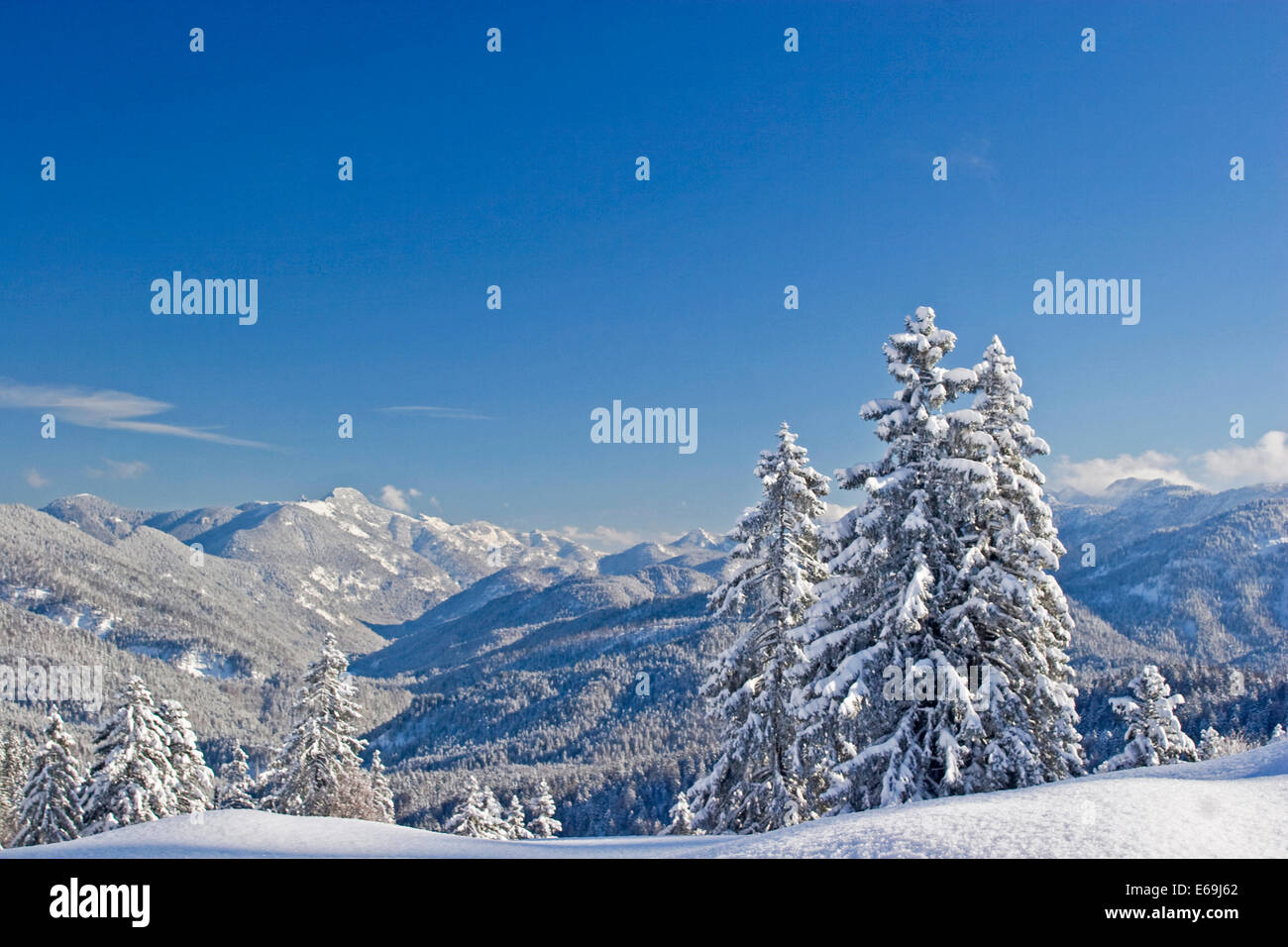 winter landscape,snowy,foothills of the alps Stock Photo - Alamy
