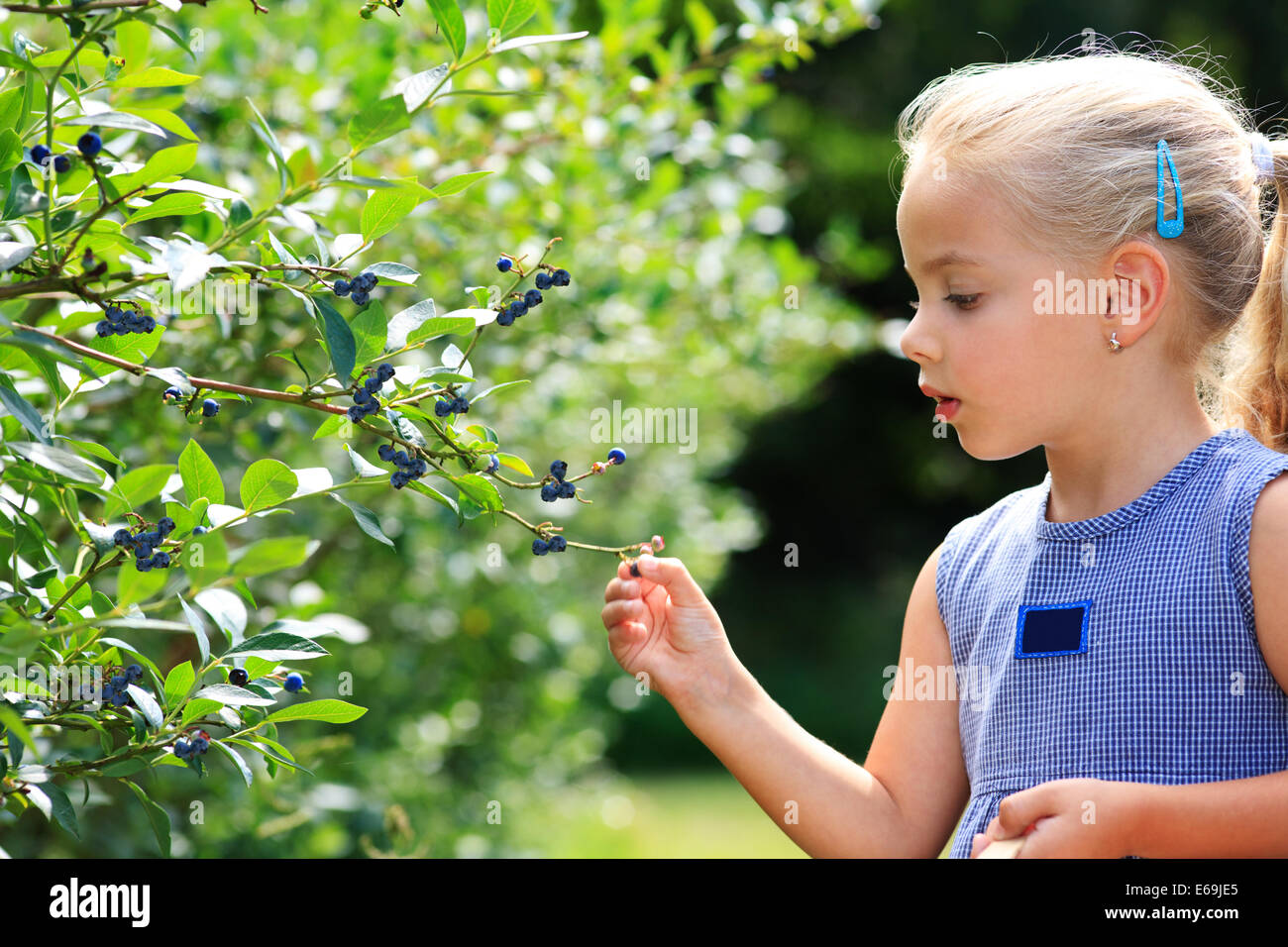 3 5 persons hi-res stock photography and images - Alamy