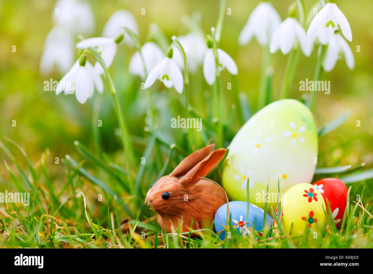 easter nest,snowdrop,early spring Stock Photo - Alamy