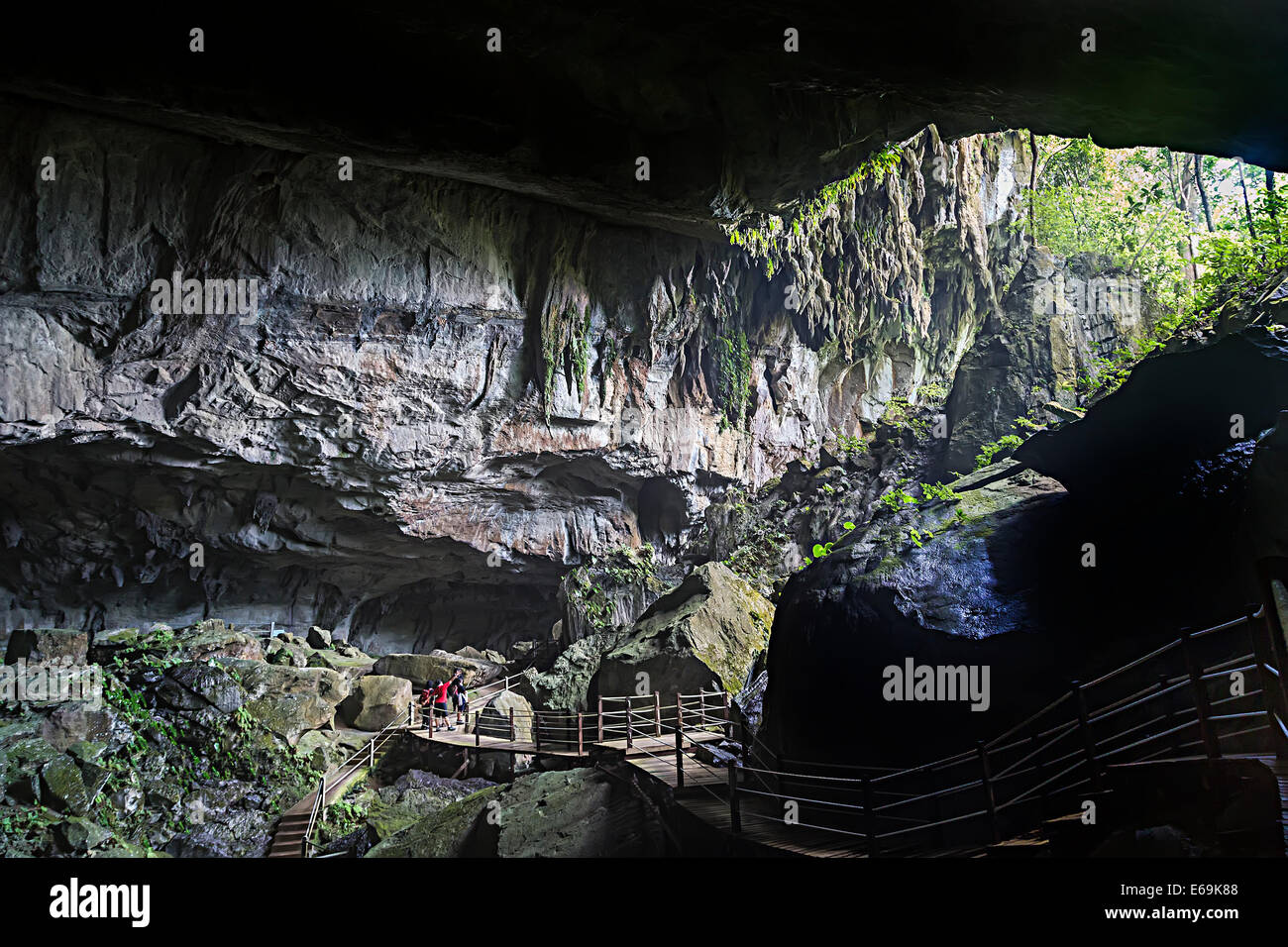 Entrance, Clearwater Cave, Mulu, Malaysia Stock Photo - Alamy