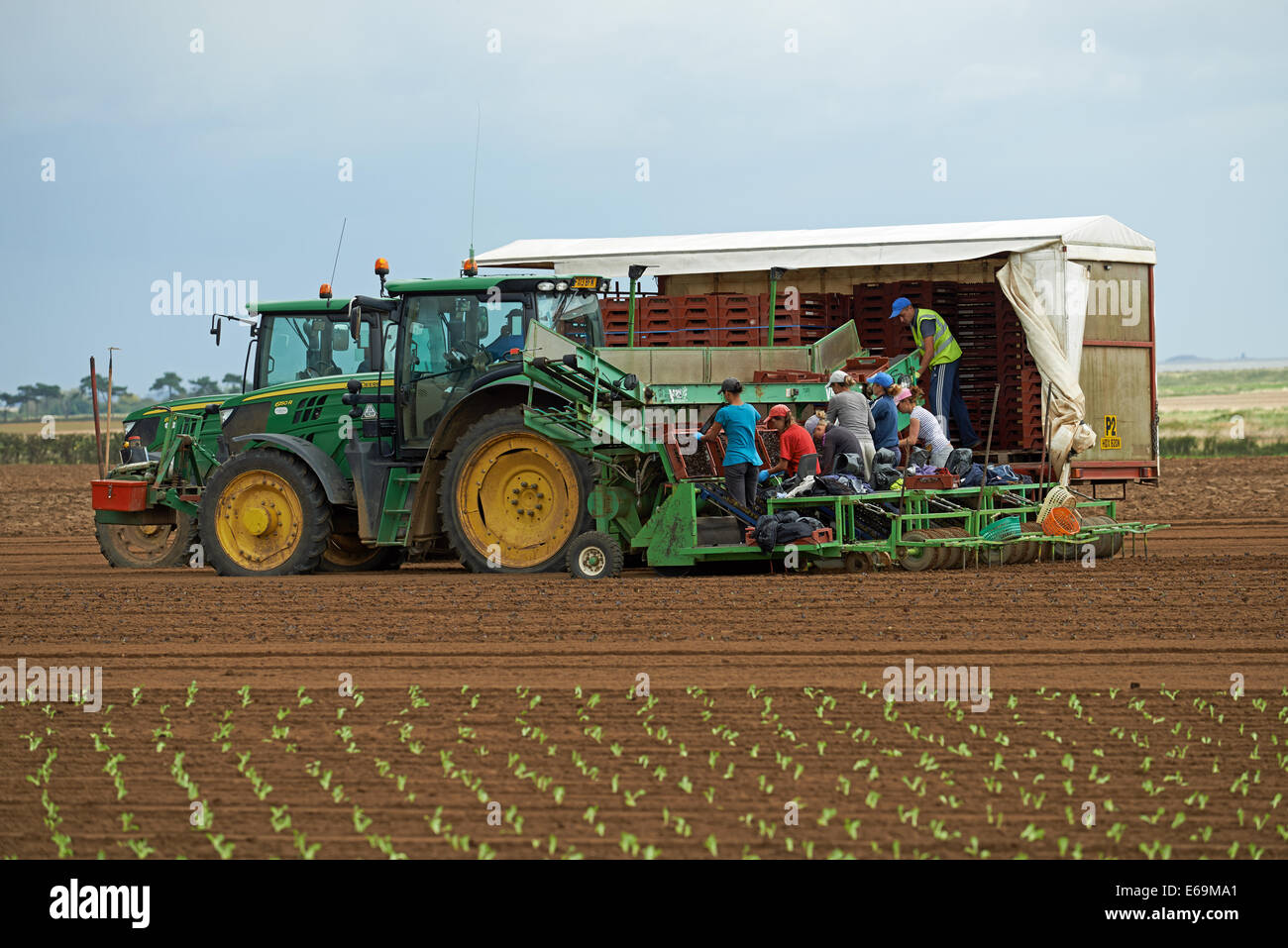 Immigrant farm workers uk hi-res stock photography and images - Alamy