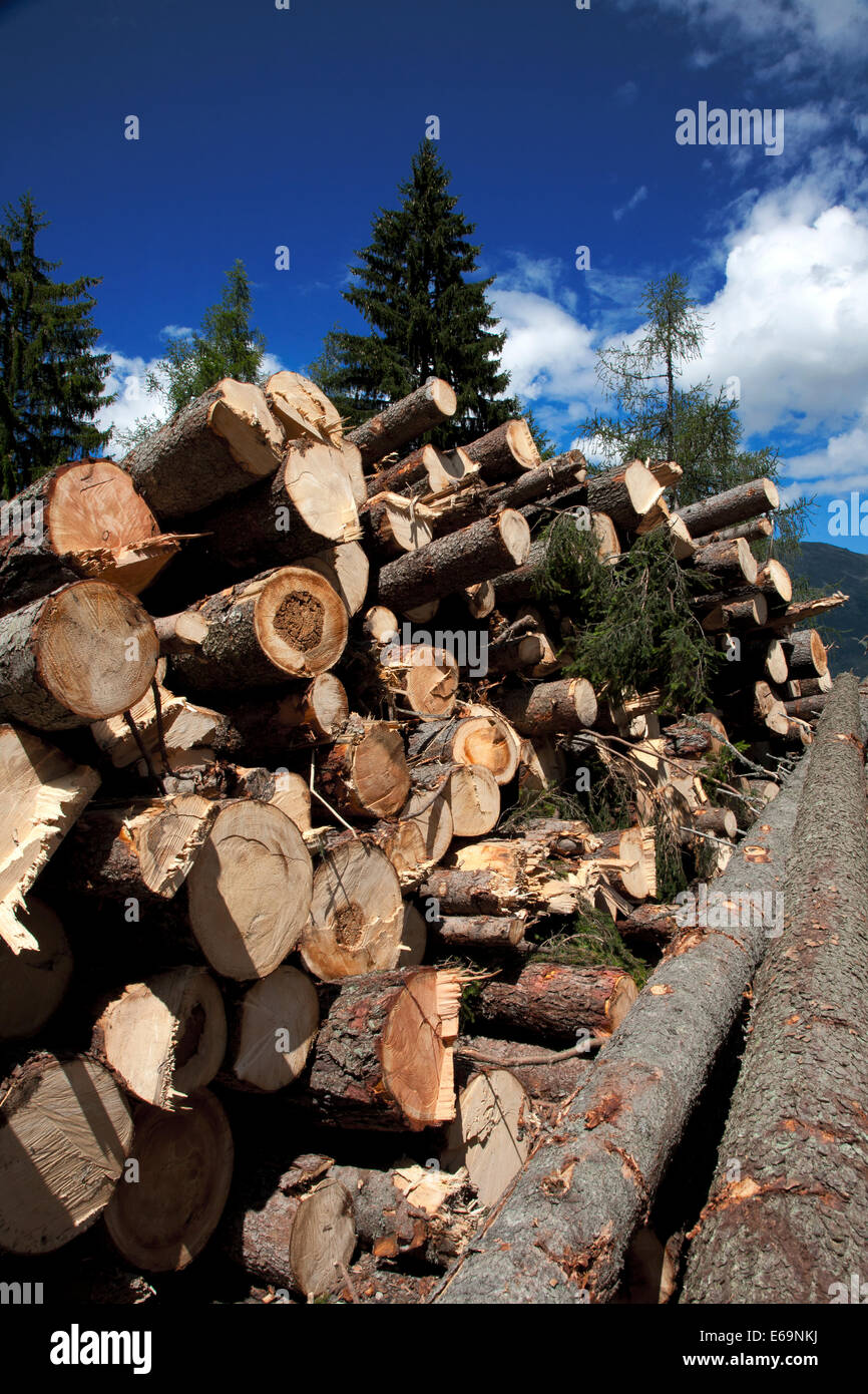 Road cut mountain hi-res stock photography and images - Alamy