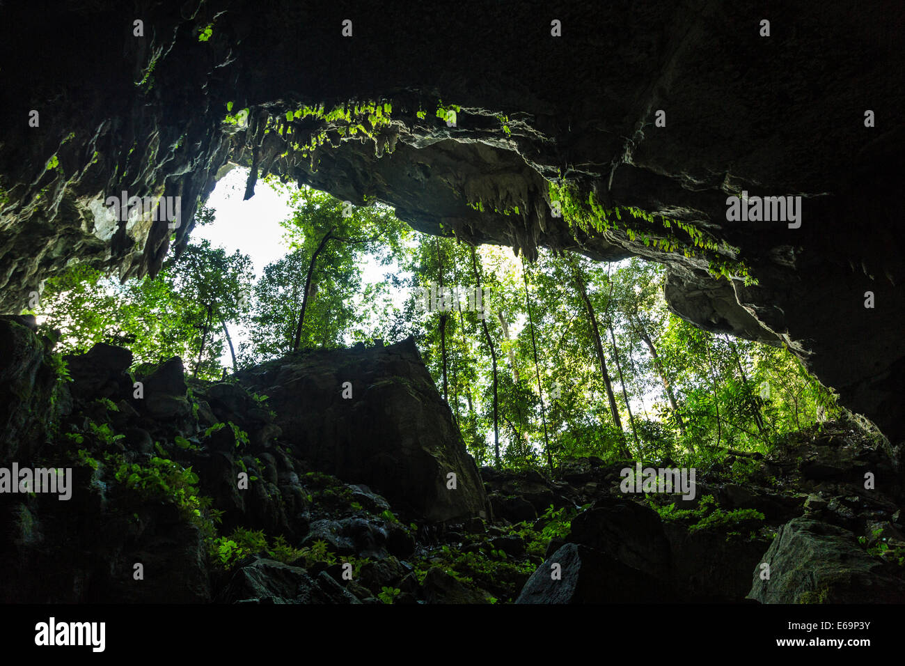 Entrance, Clearwater Cave, Mulu, Malaysia Stock Photo - Alamy