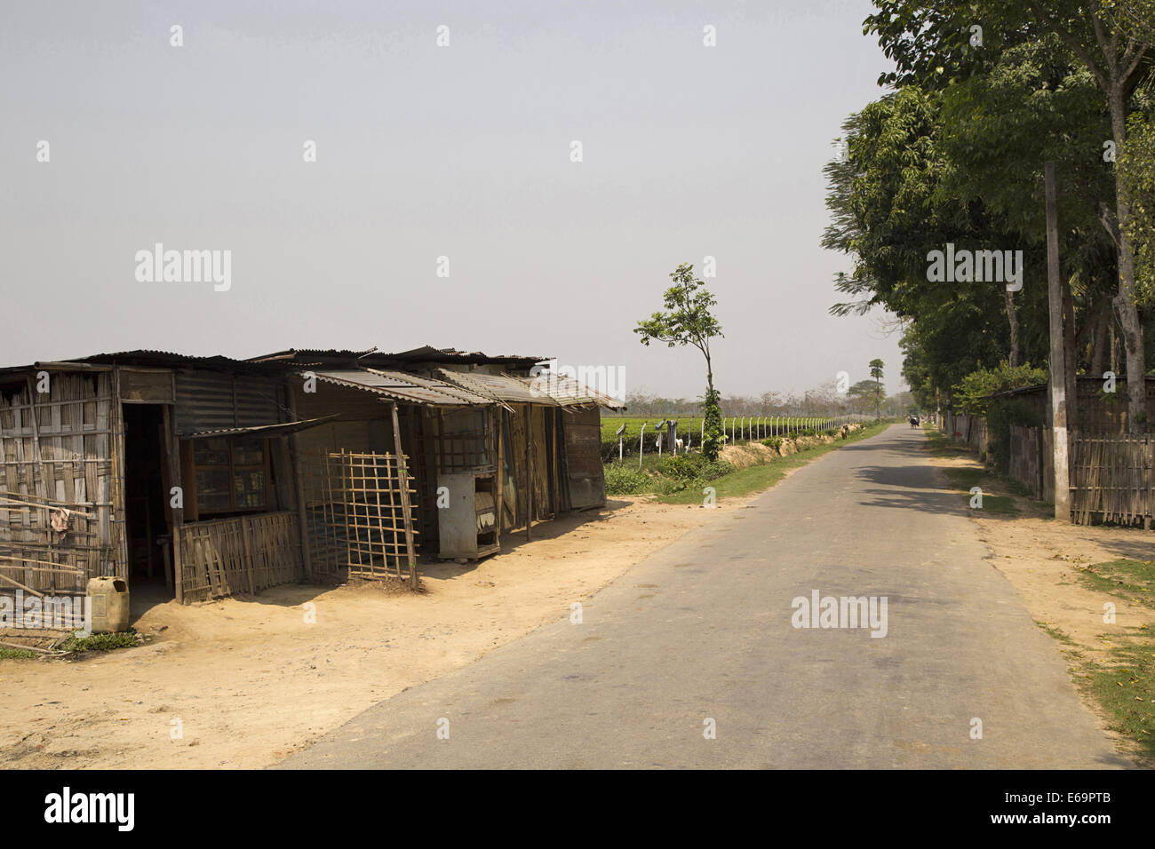 A landscape in village, Jorhat, Assam Stock Photo - Alamy