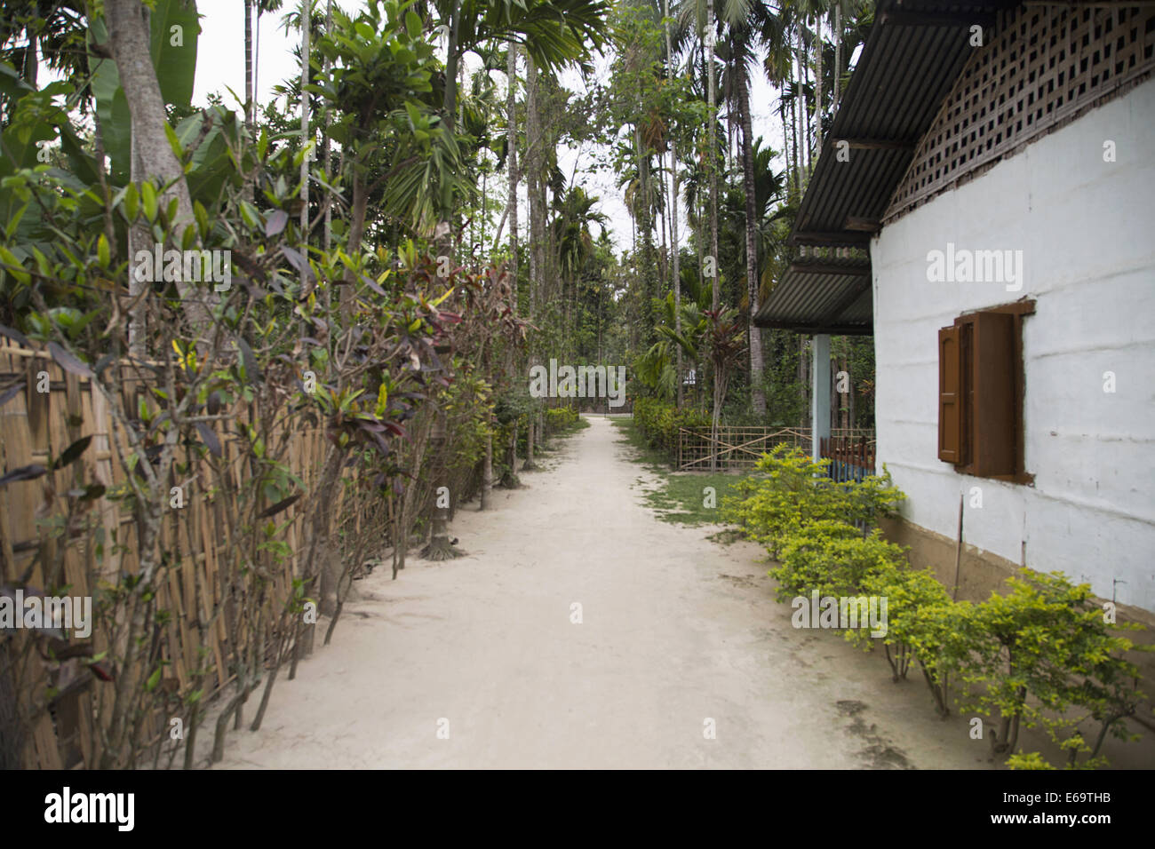 Assam house hi-res stock photography and images - Alamy