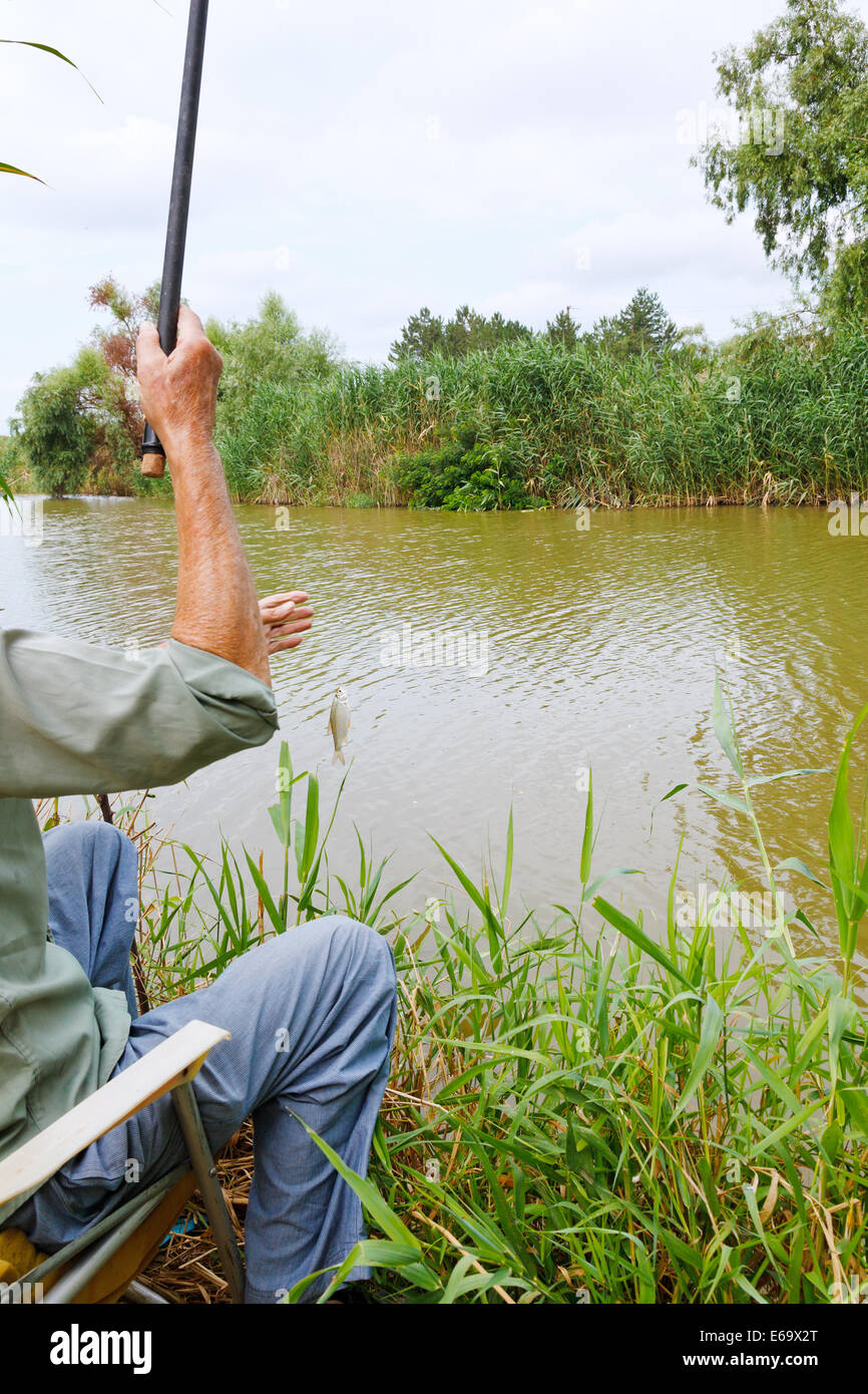 Rudd fish hi-res stock photography and images - Alamy Rudd fish hi-res stock photography and images - Alamy