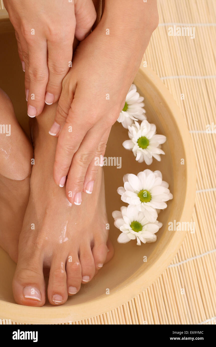 Washing its foot hi-res stock photography and images - Alamy