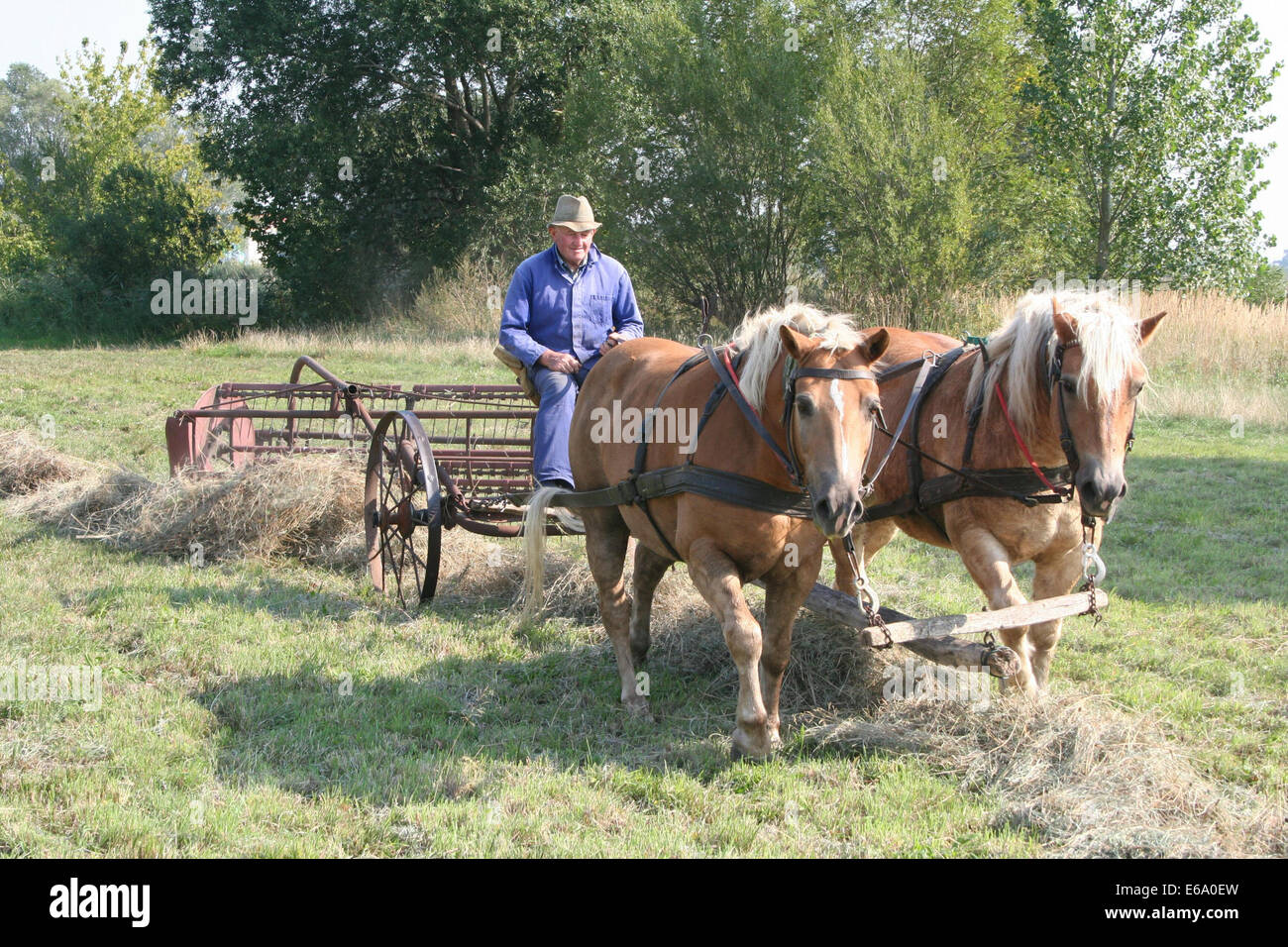 Bauer Beruf High Resolution Stock Photography and Images - Alamy