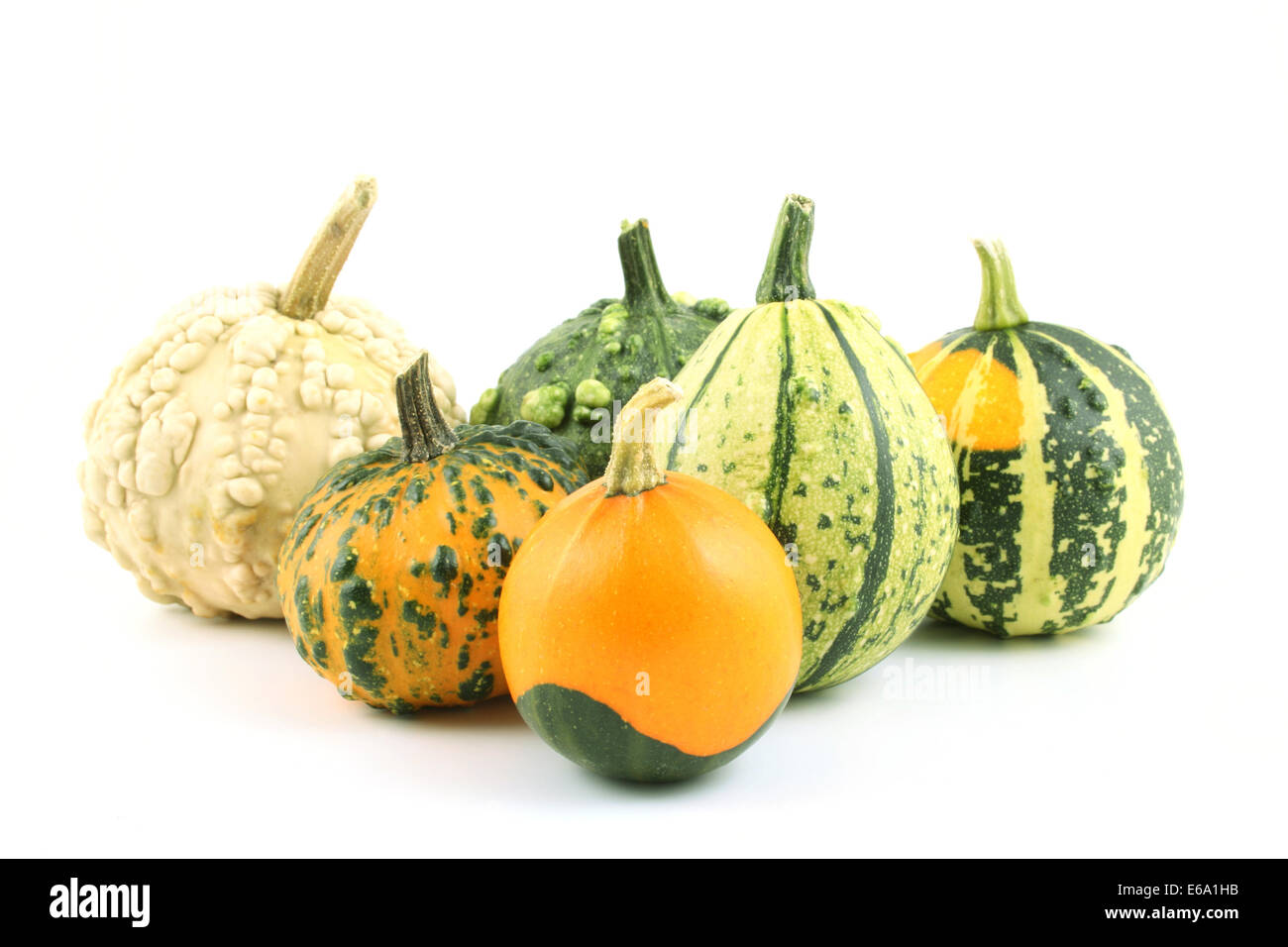 Squashs High Resolution Stock Photography and Images - Alamy