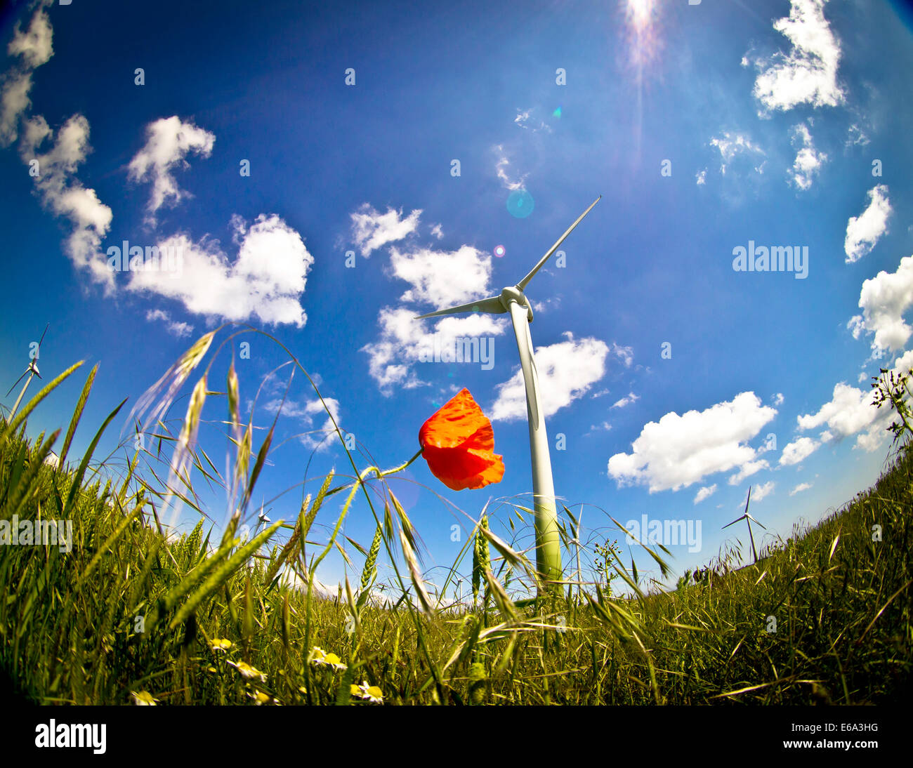 pinwheel,alternative energy,wind turbine Stock Photo - Alamy