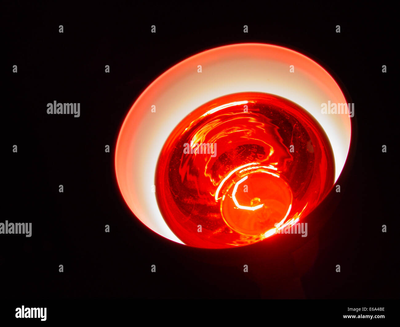 Infrareds hi-res stock photography and images - Alamy