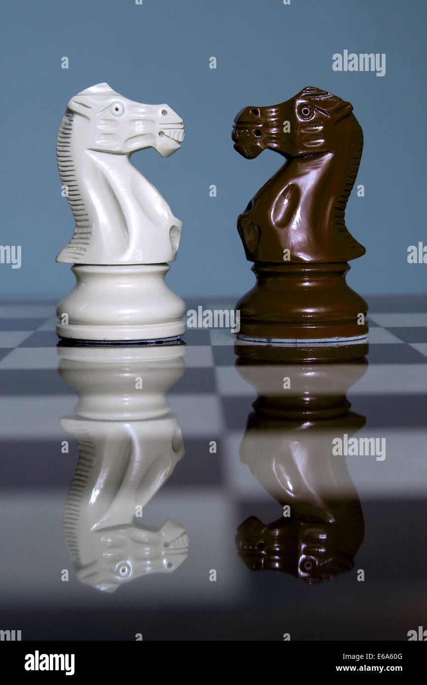 Horse competition studio hi-res stock photography and images - Alamy