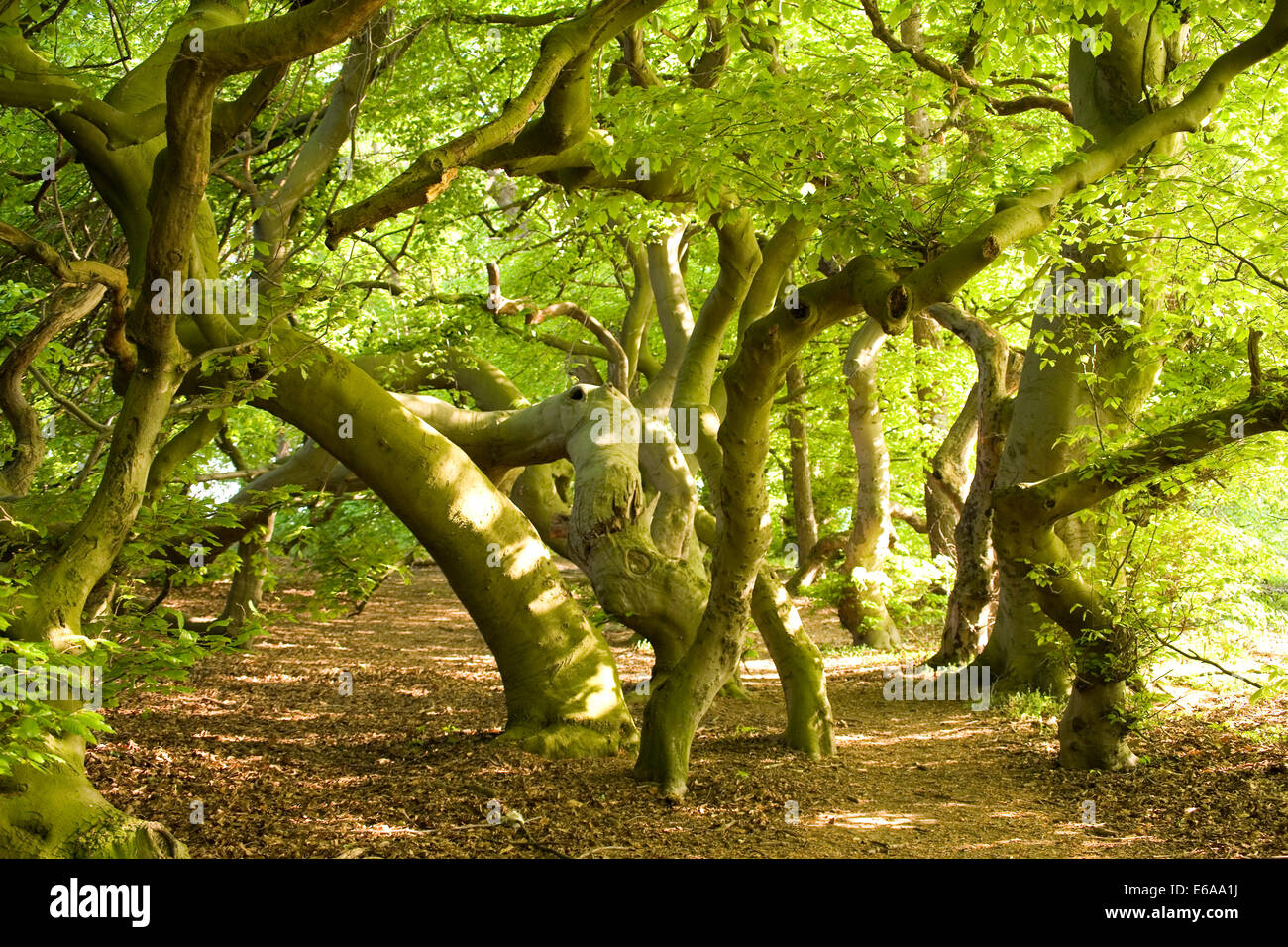 Unsearchable High Resolution Stock Photography and Images - Alamy