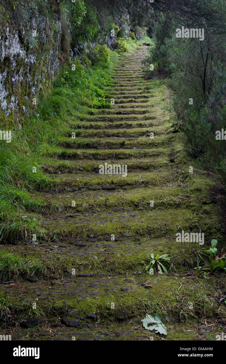 Esoteric Path High Resolution Stock Photography and Images - Alamy