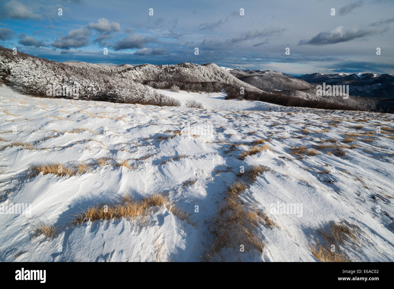 Wonderful winter day powder hi-res stock photography and images - Alamy