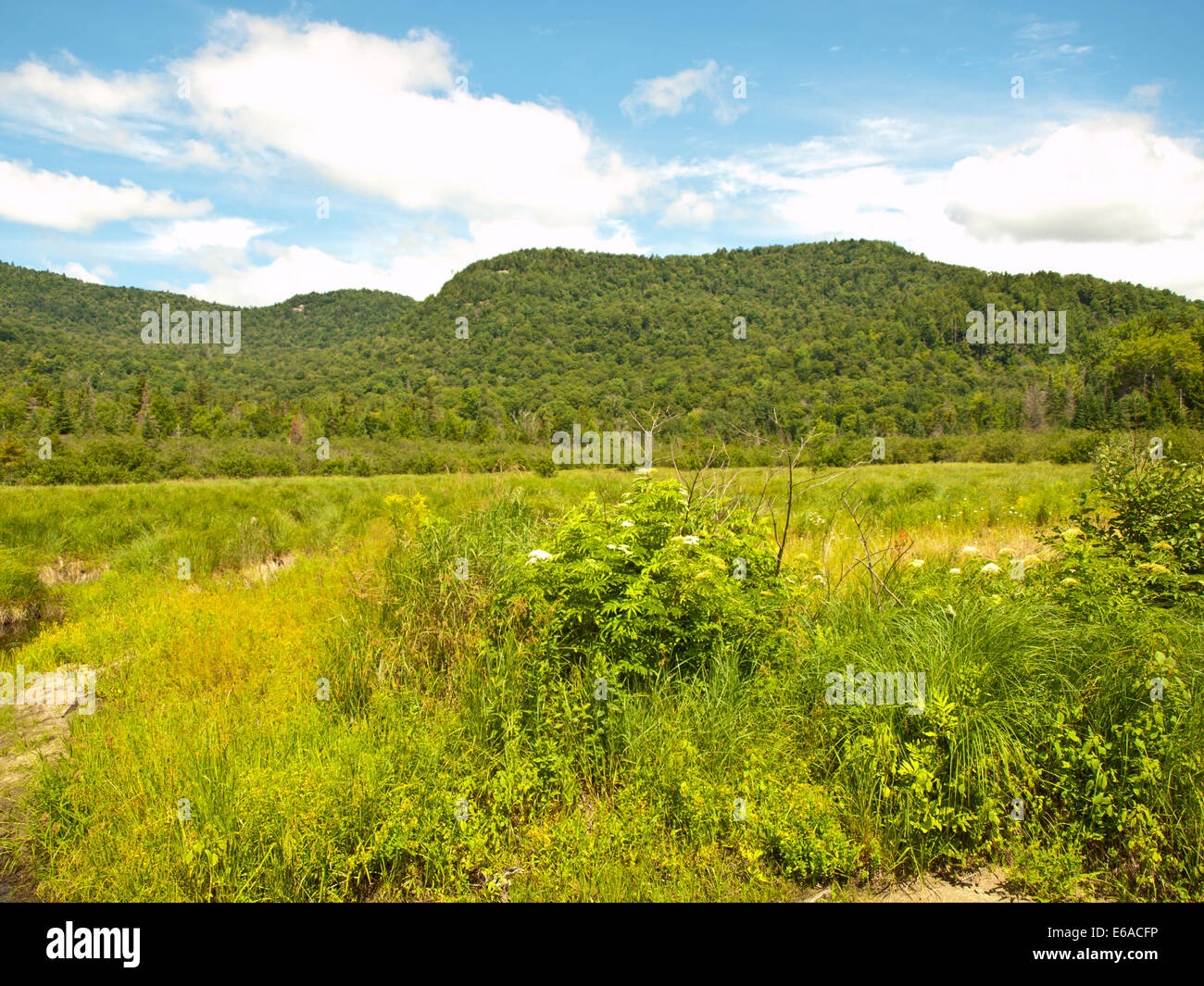 Lewey Lake, Adirondack State Park, New York Stock Photo - Alamy