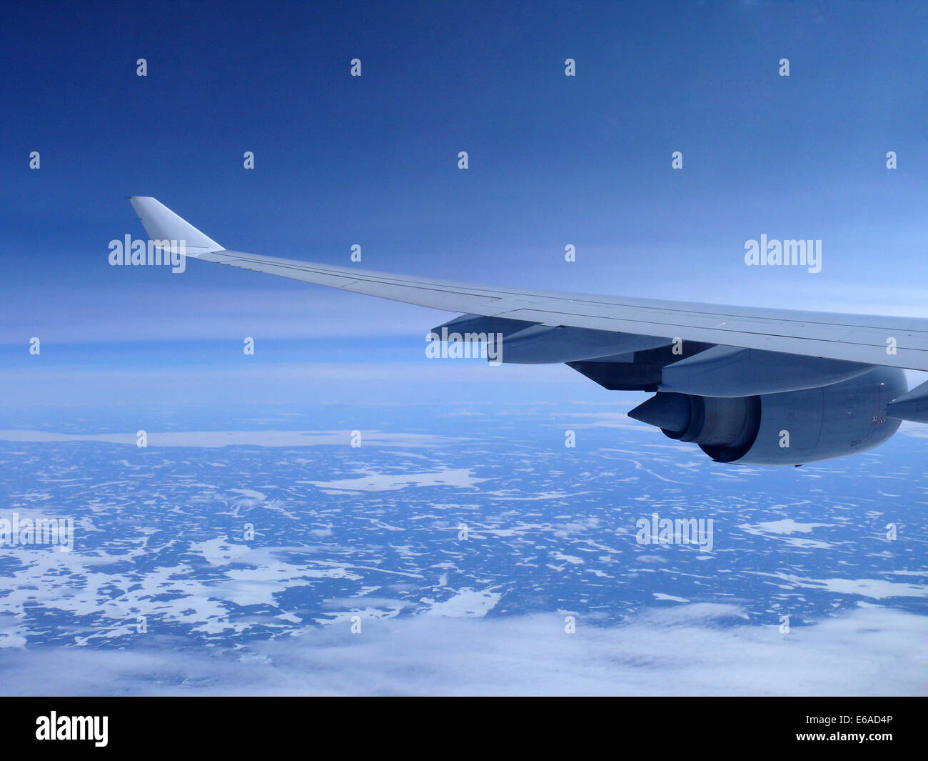 Aerial Locomotion High Resolution Stock Photography and Images - Alamy