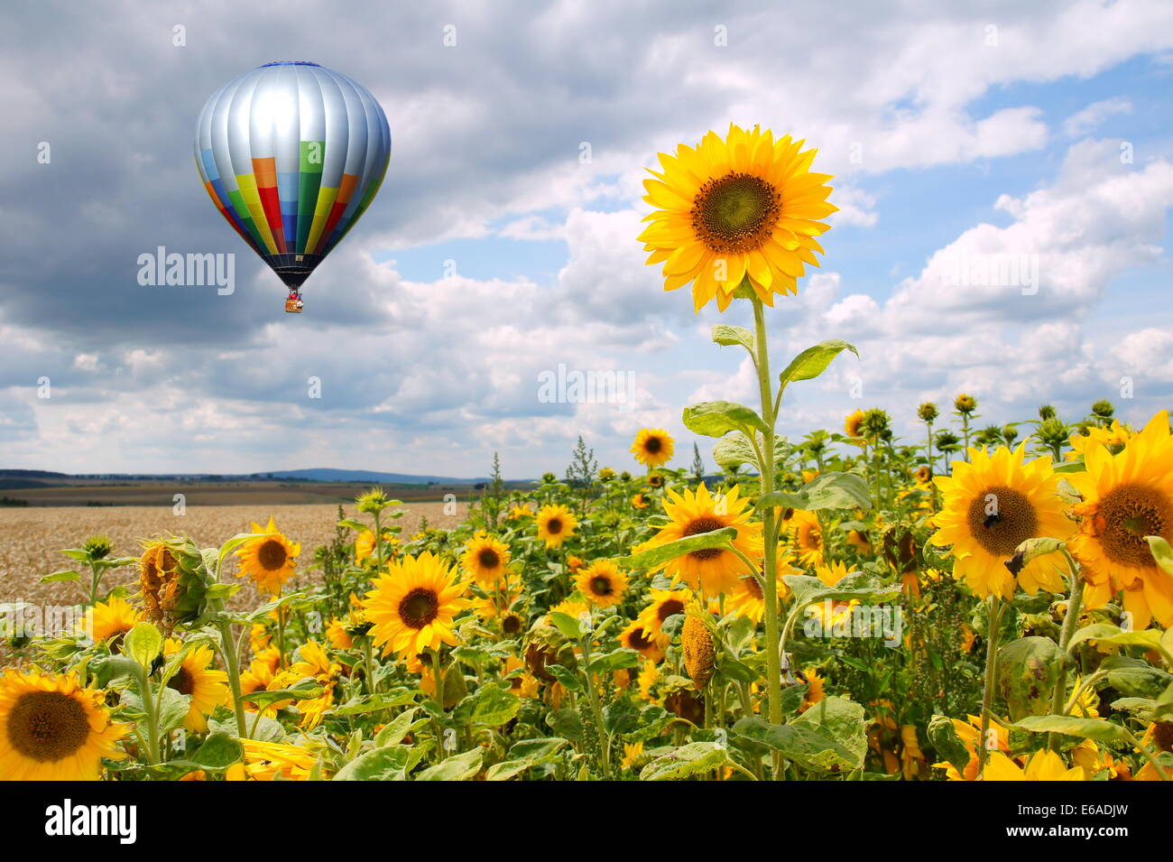 Flower Hot Air Balloon Stock Photos & Flower Hot Air Balloon Stock ...