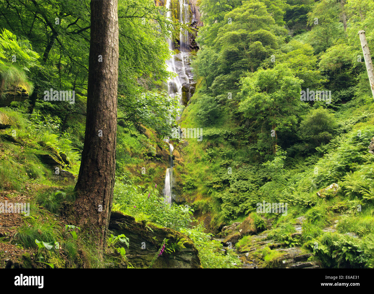 Pistyll rhaeadr waterfall hi-res stock photography and images - Alamy