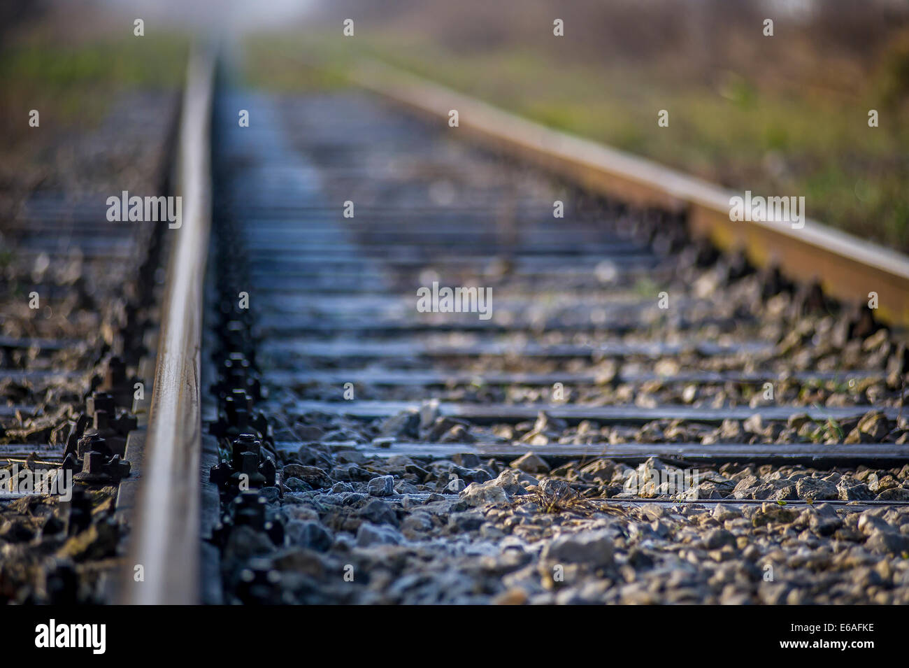 Rarely using overgrown single track railway hi-res stock photography and images - Alamy
