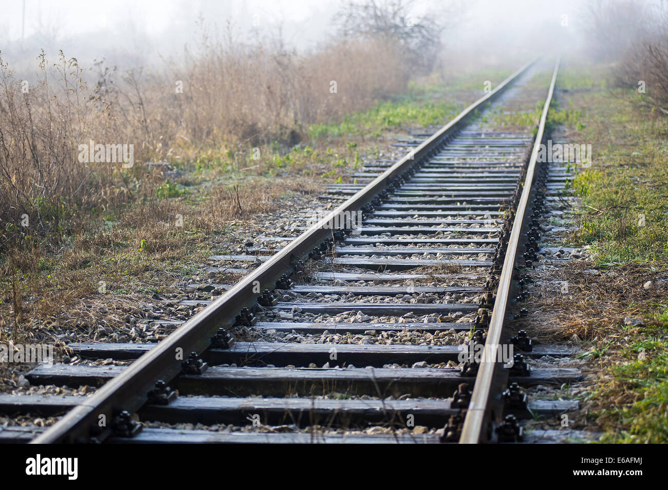 Rarely using overgrown single track railway hi-res stock photography and images - Alamy