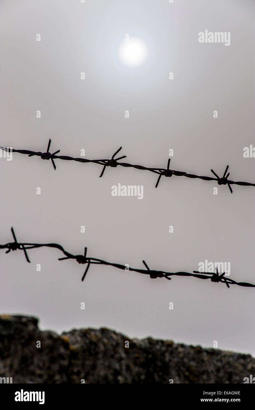 Barbed wire guarding hi-res stock photography and images - Alamy