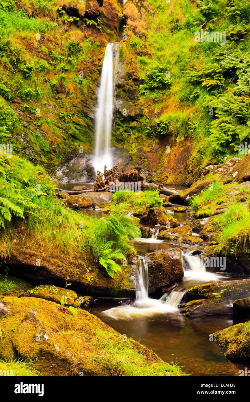 waterfall Pistyll Rhaeadr Snowdonia Stock Photo - Alamy