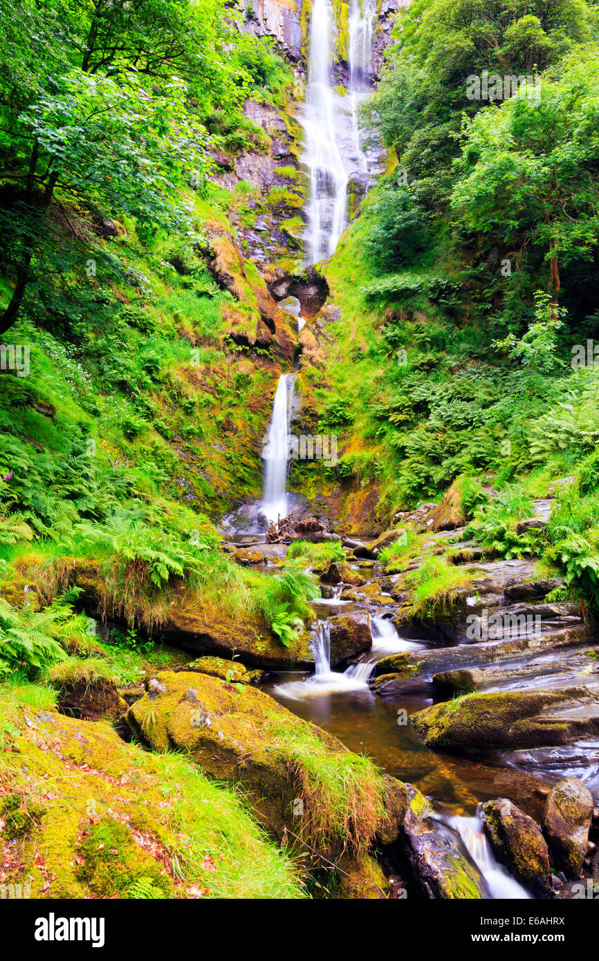 waterfall Pistyll Rhaeadr Snowdonia Stock Photo - Alamy