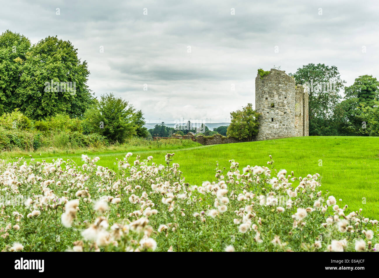 Crom Castle, Co Fermanagh, Northern Ireland Stock Photo - Alamy