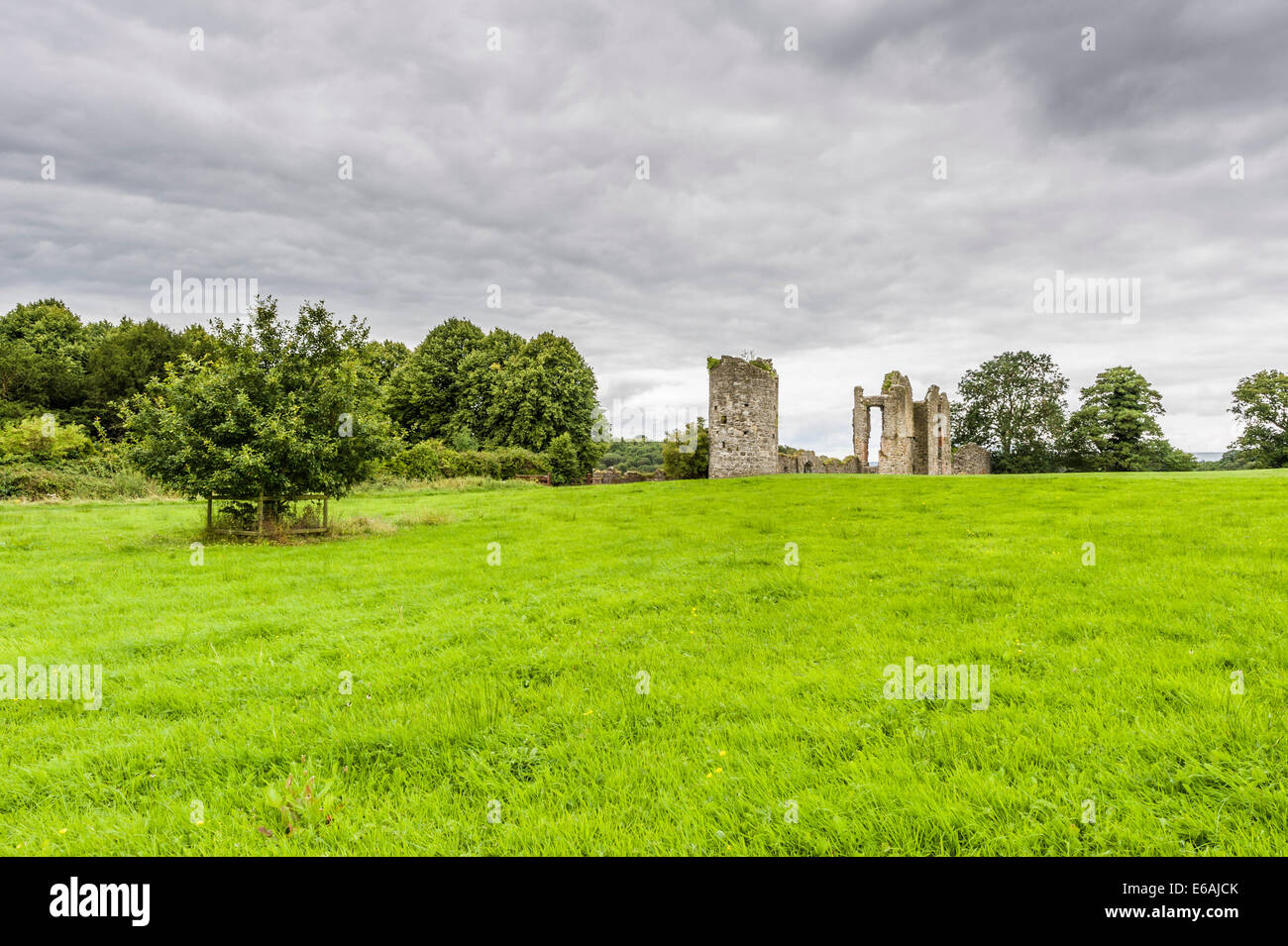Crom estate, fermanagh hi-res stock photography and images - Alamy