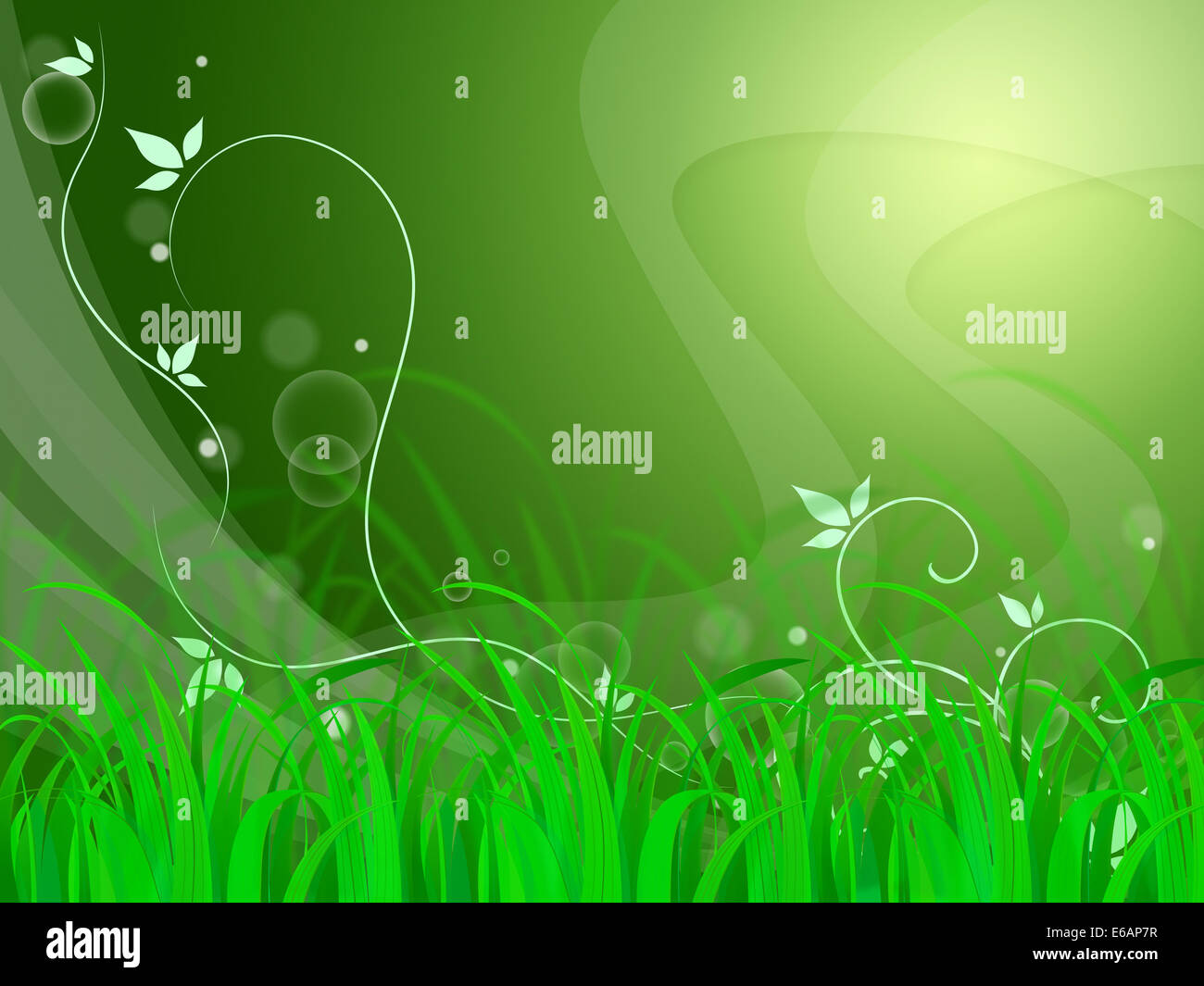Floral Horizon Background Showing Natural Field Or Fresh Environment ...