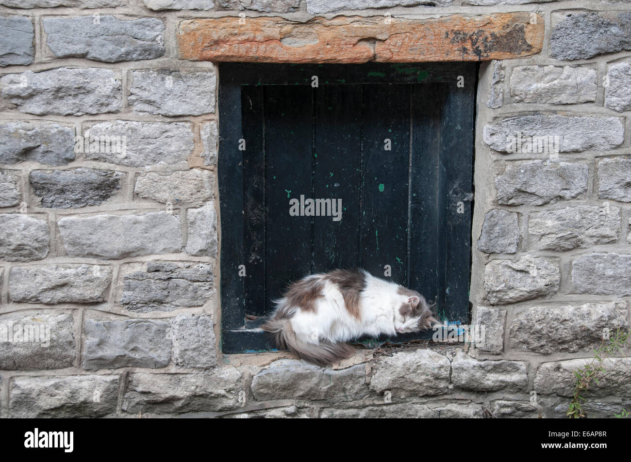 Sleeping cat in window. Castleton, Derbyshire Stock Photo - Alamy