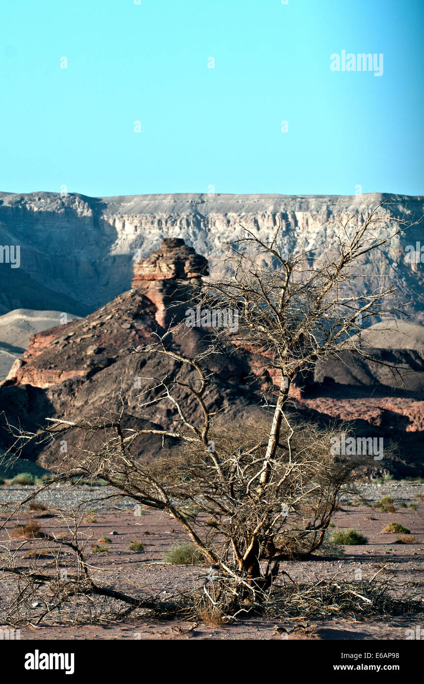 Timna Valley Mines ,Israel ,Sandstone eroded by wind Stock Photo - Alamy