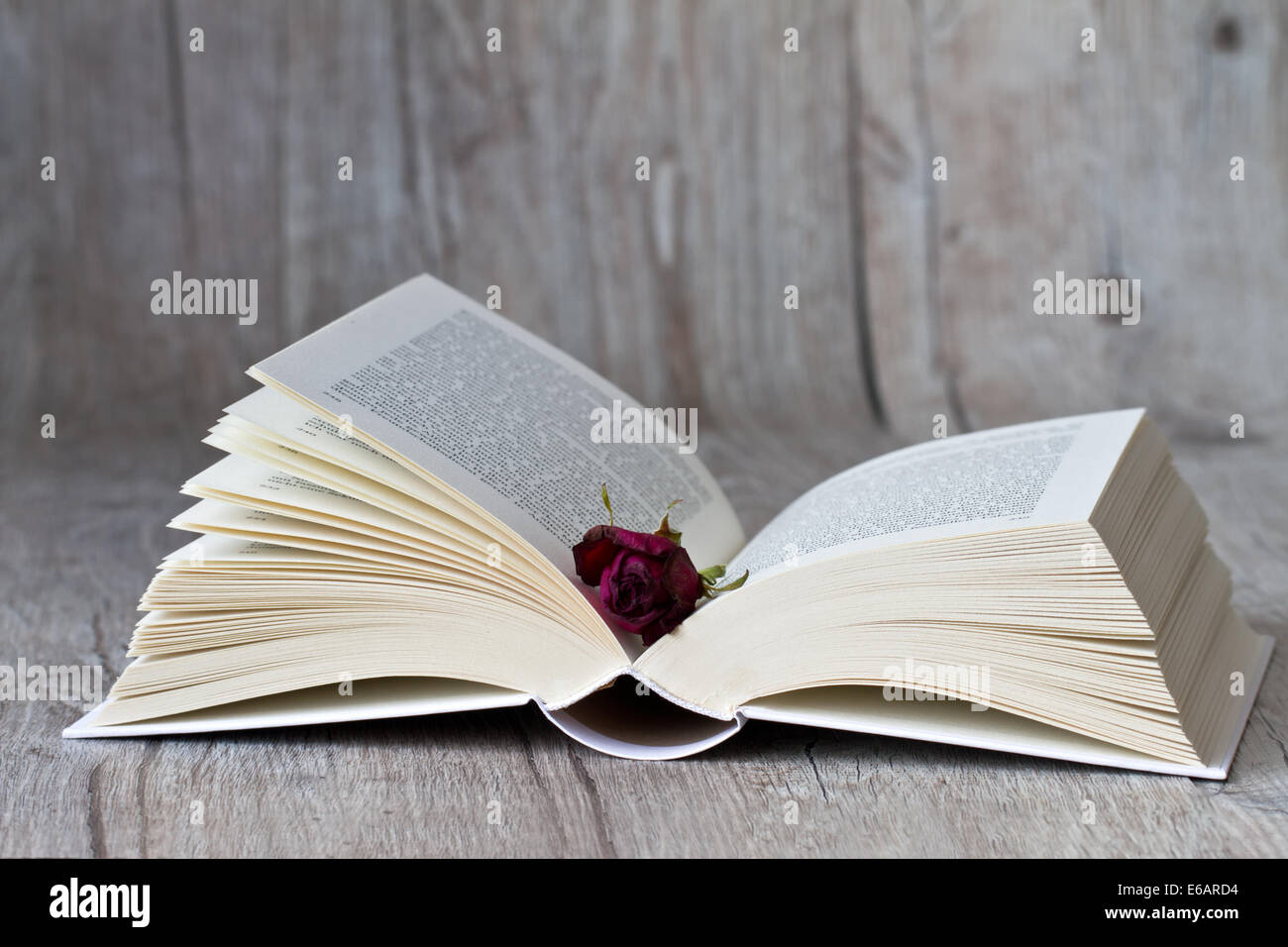 Rose and book hi-res stock photography and images - Alamy